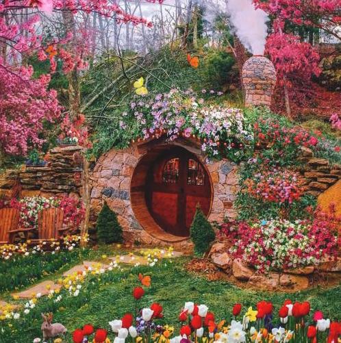 Katie Lu's Post|Lemon8