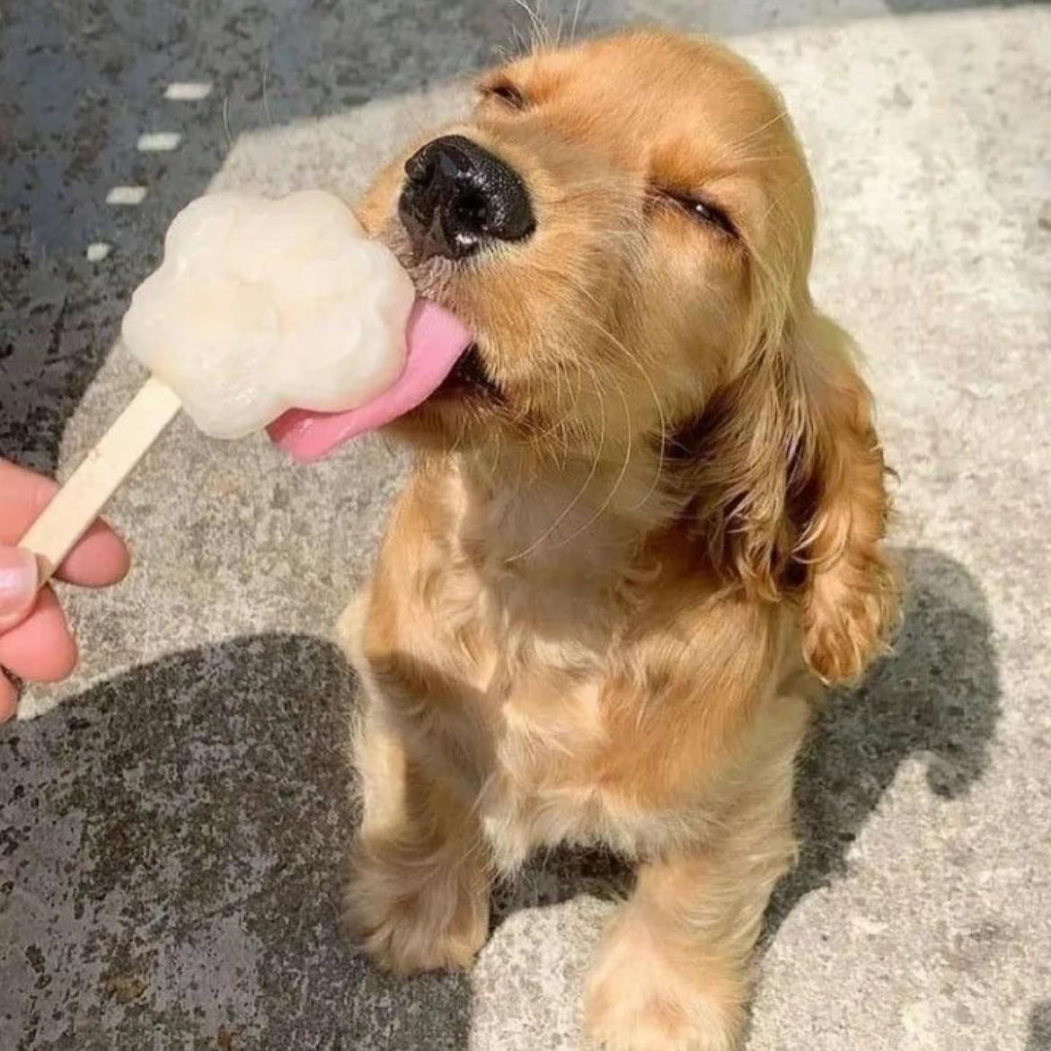 GRACEさんの投稿|Lemon8