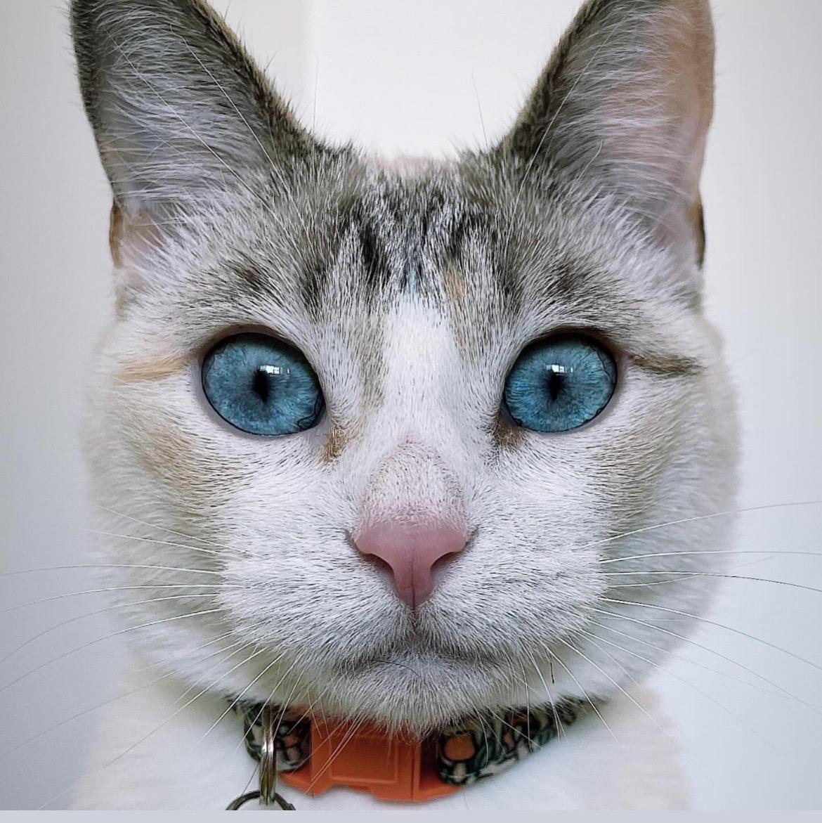 Gem 8itch 's Post|Lemon8