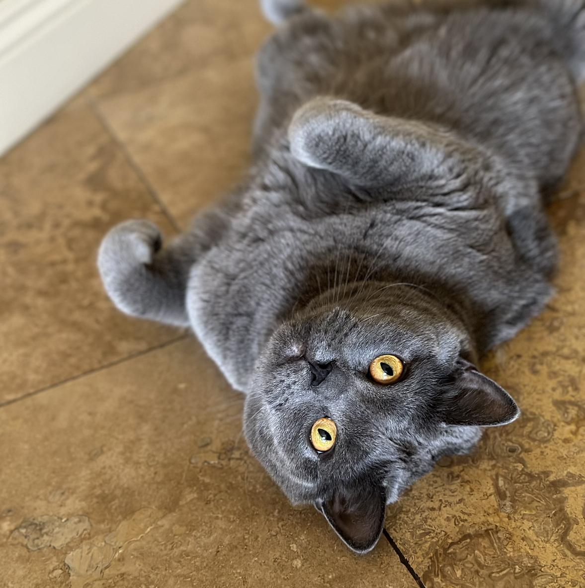 Jewel T's Post|Lemon8