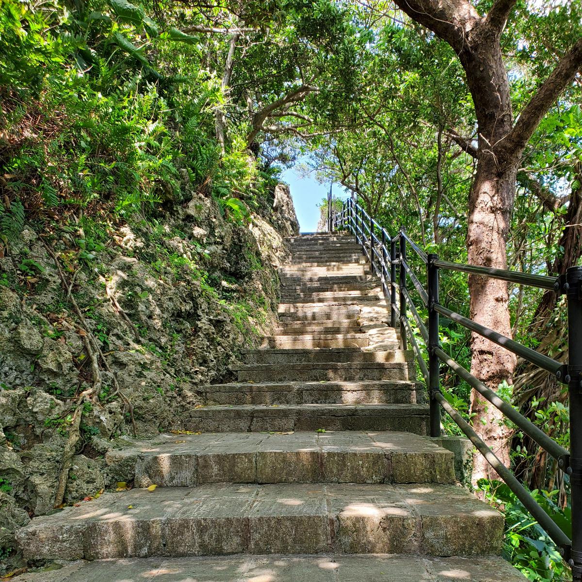 Ayane.s's Post|Lemon8