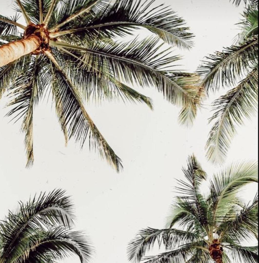 Ava🩷's Post|Lemon8