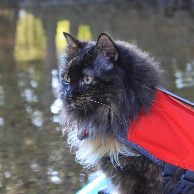 Ruby and Finn's Post|Lemon8