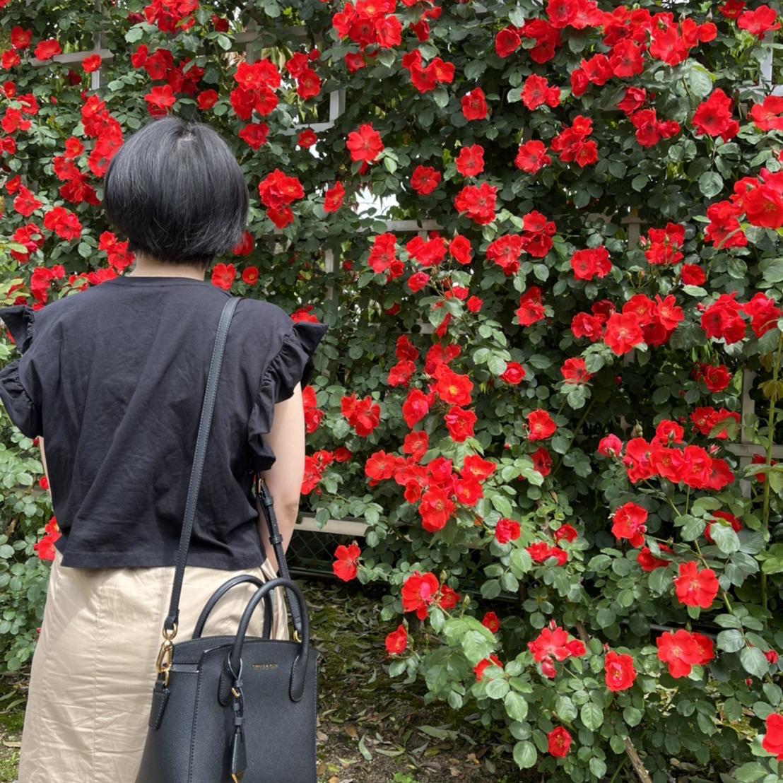 Karin💁's Post|Lemon8