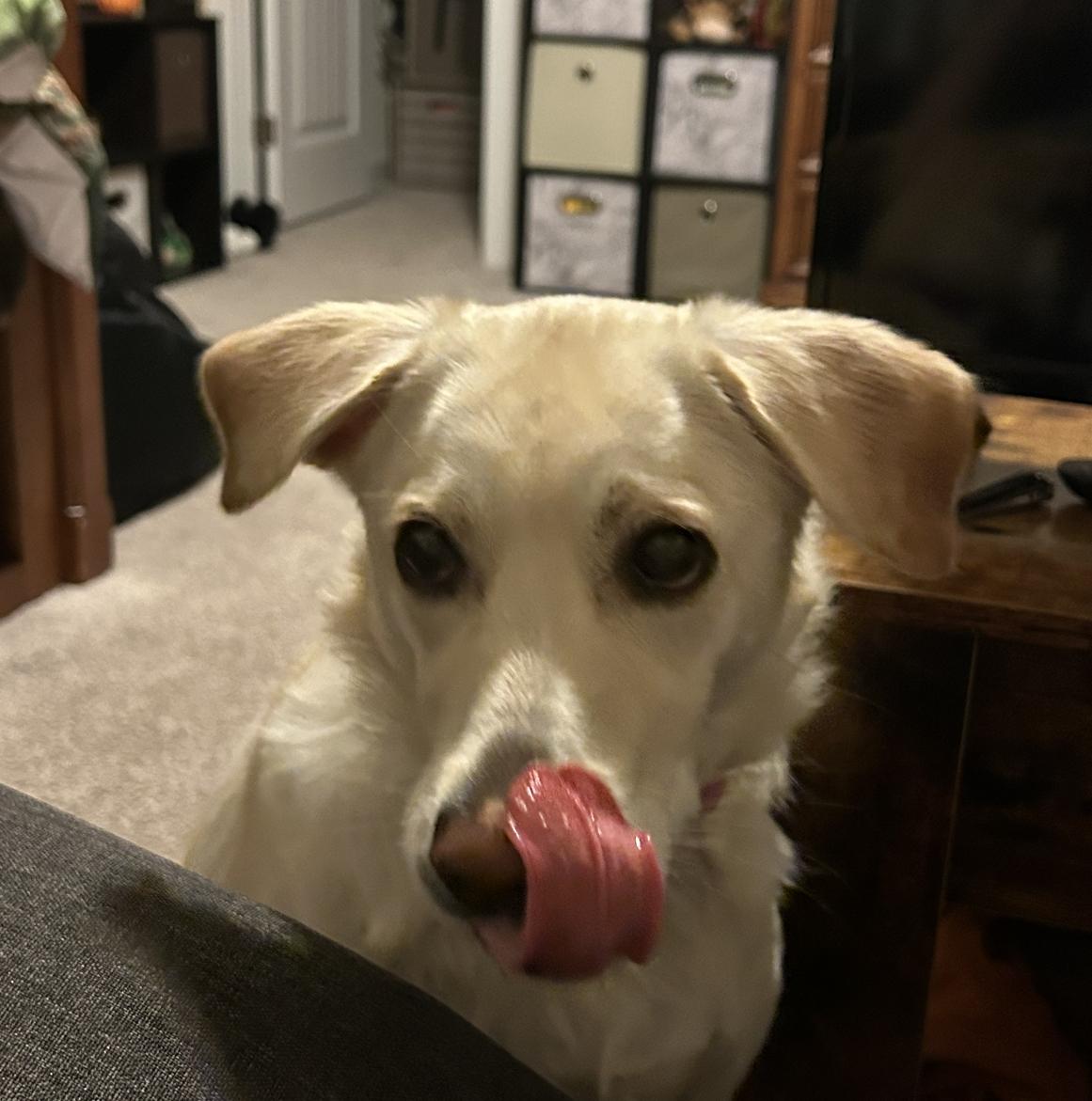 Dylan Rish's Post|Lemon8