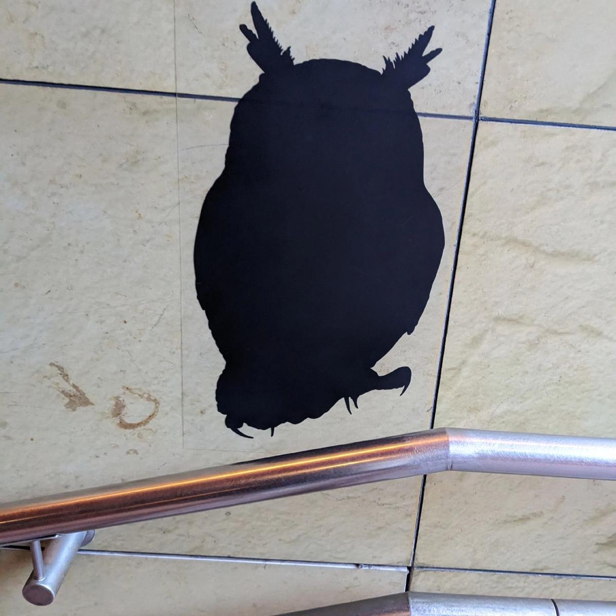 っっっっっっt's Post|Lemon8