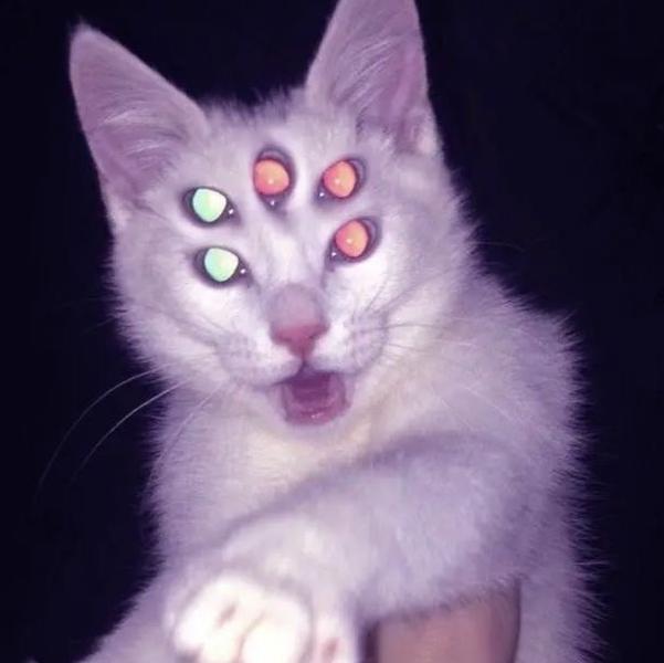 vivi 🎧's Post|Lemon8