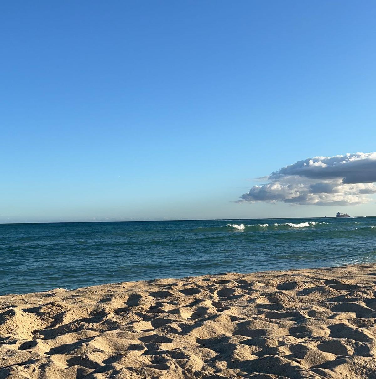 Matcha's Post|Lemon8