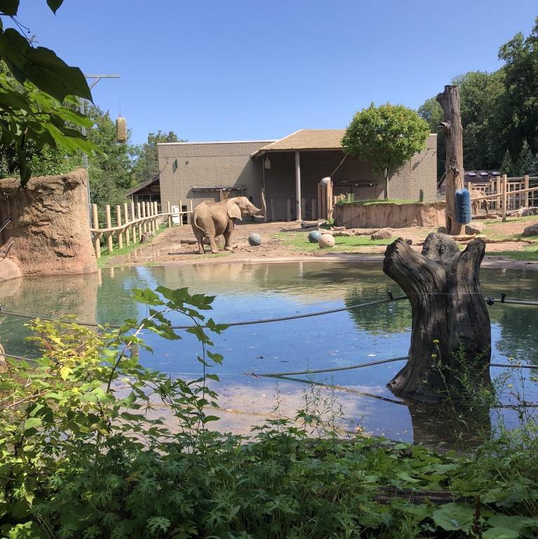 Creativity's Post|Lemon8