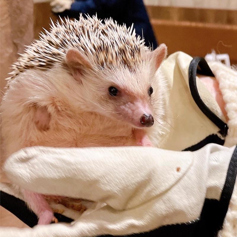 emikさんの投稿|Lemon8