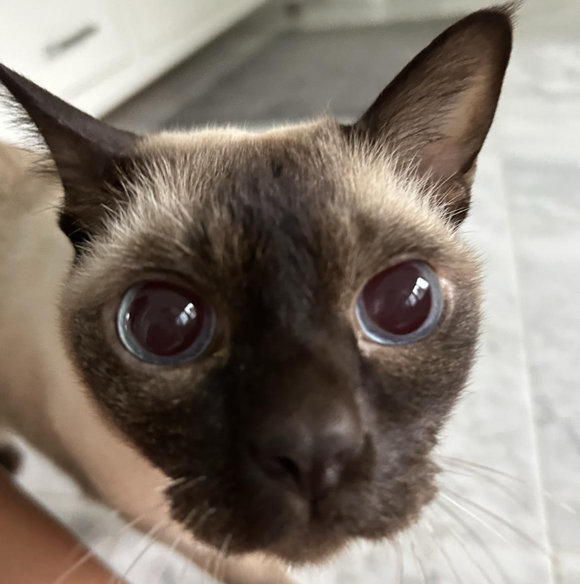 ♡Kat♡'s Post|Lemon8