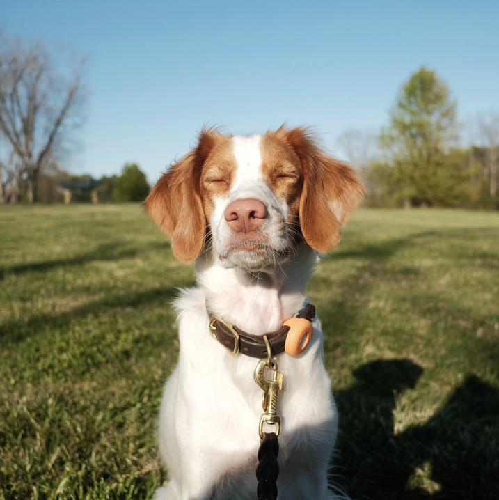 my girl scout's Post|Lemon8