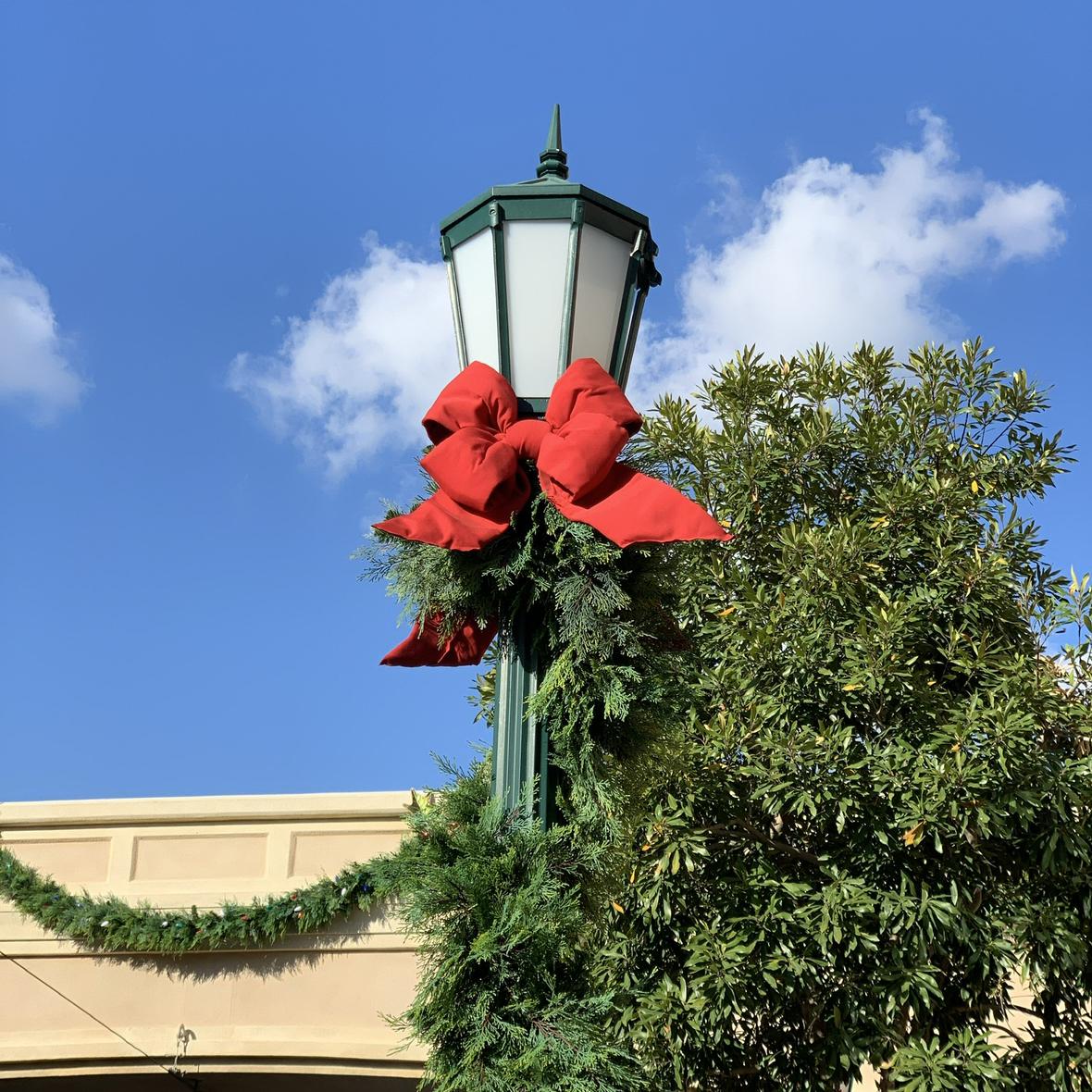 Aly Cray's Post|Lemon8