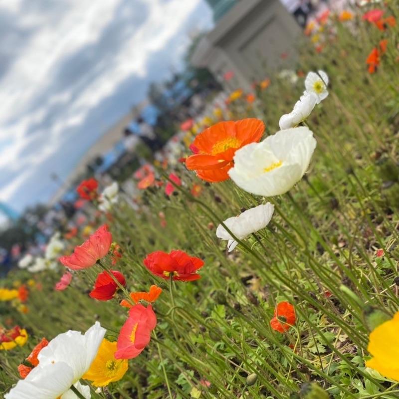 ayamiさんの投稿|Lemon8