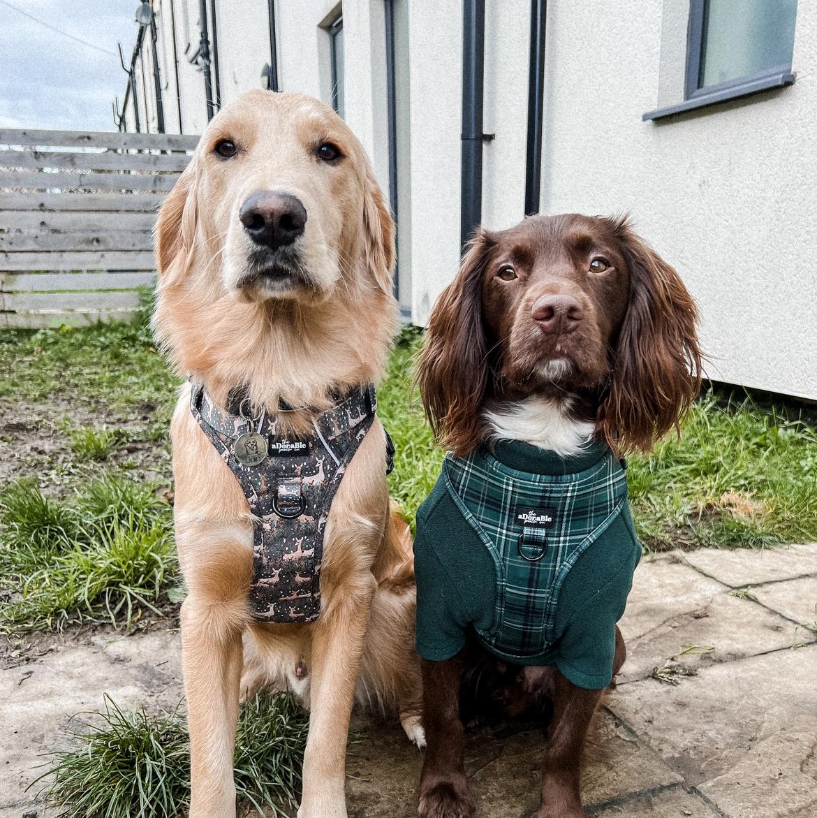 ATLAS & ODIN's Post|Lemon8