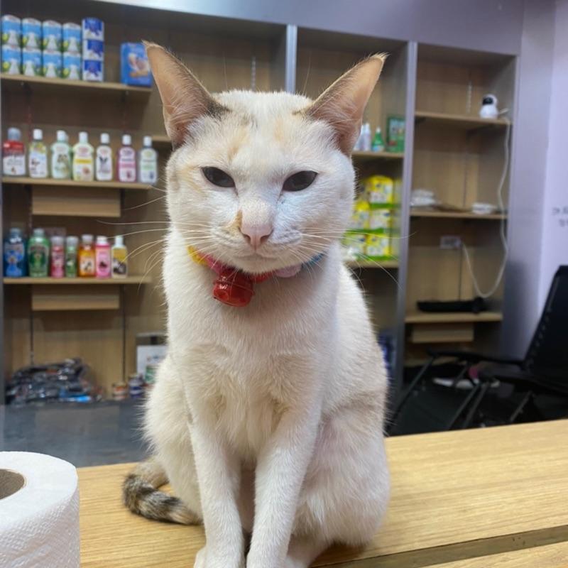 Jupjang's Post|Lemon8