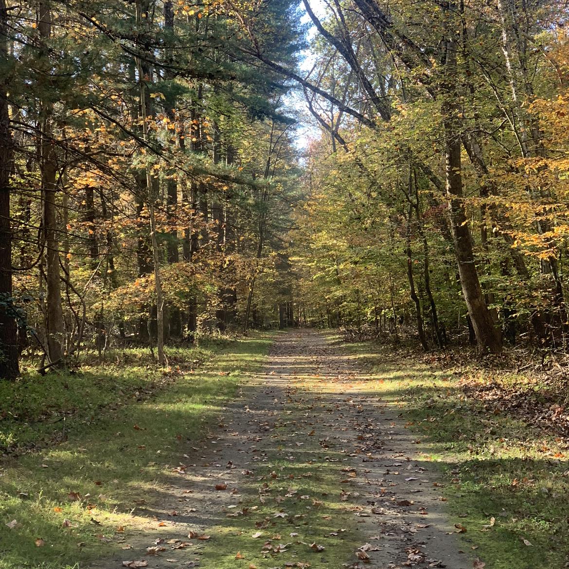 Chloe 's Post|Lemon8