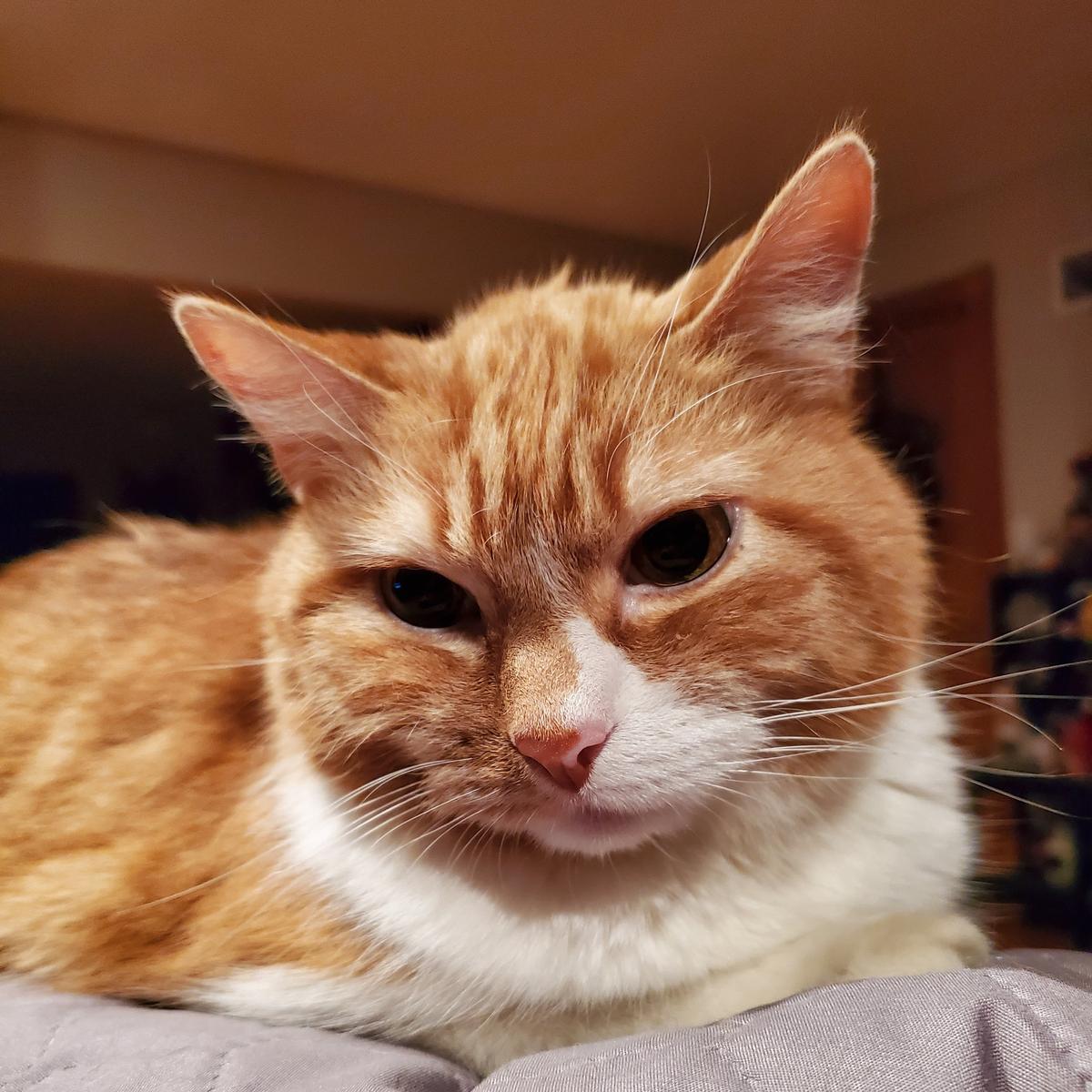 McKenna Young's Post|Lemon8