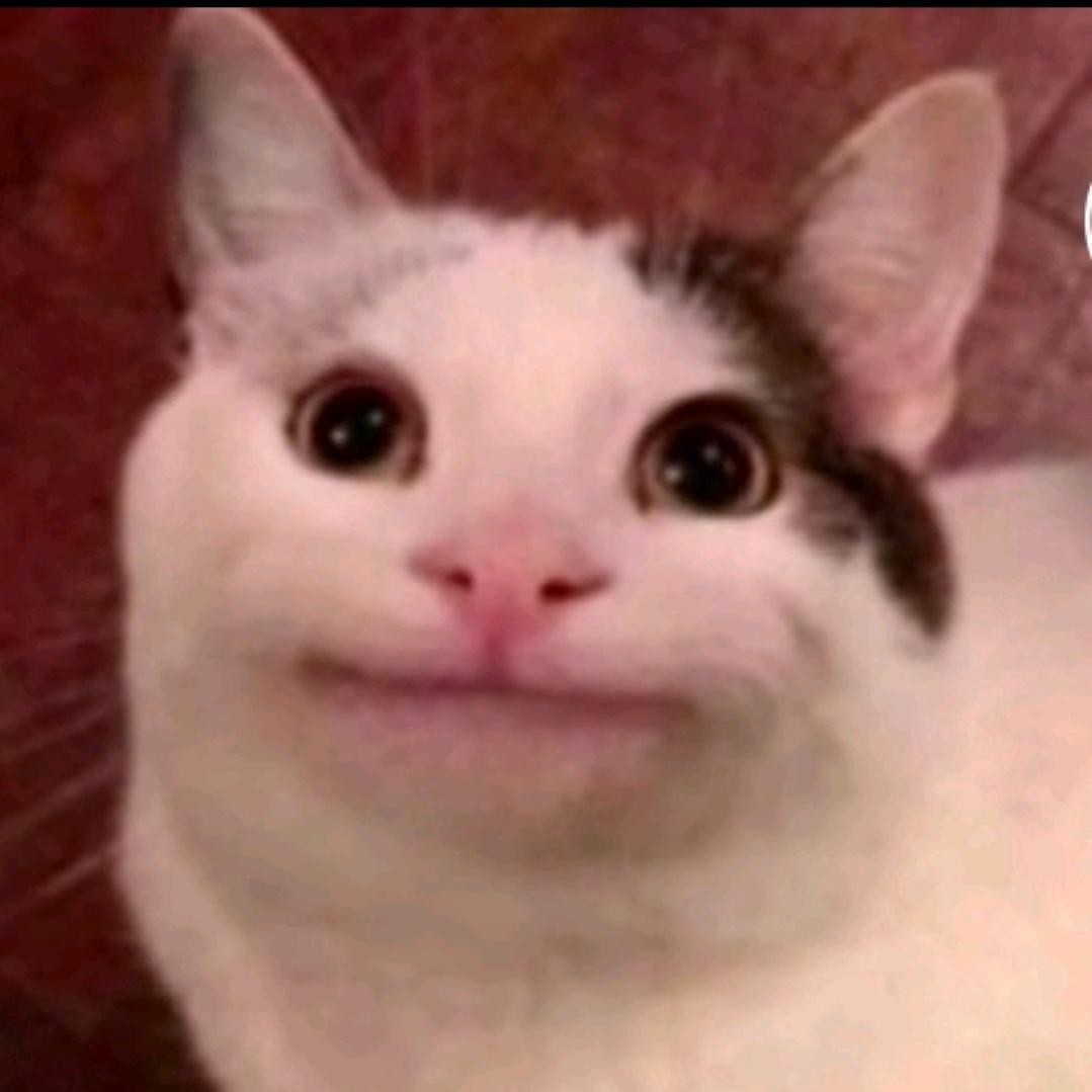 ayanoさんの投稿|Lemon8