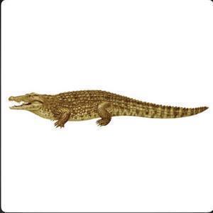 chii_outさんの投稿|Lemon8