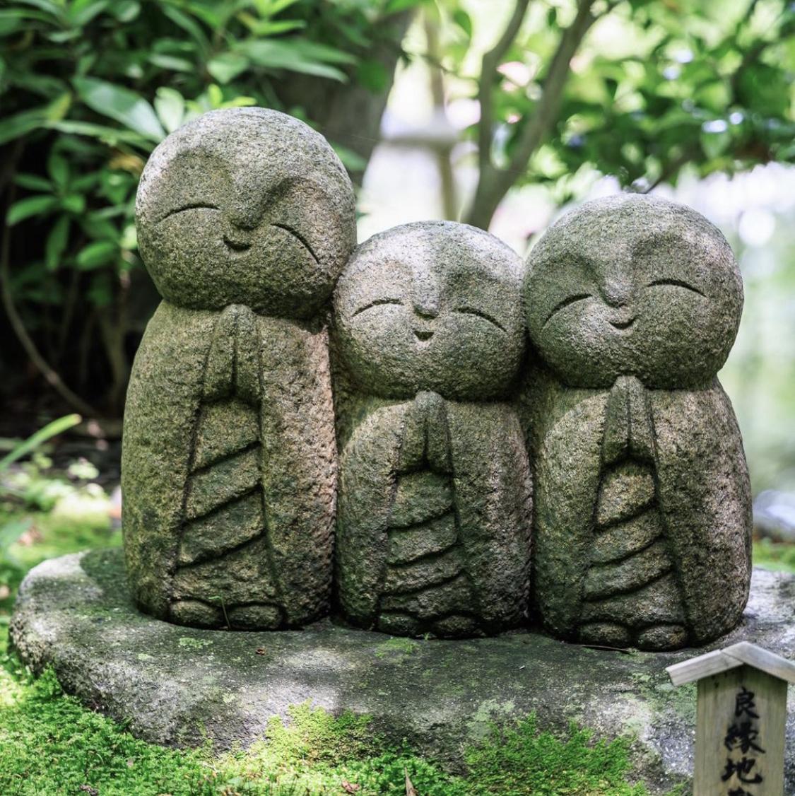 tome1972's Post|Lemon8