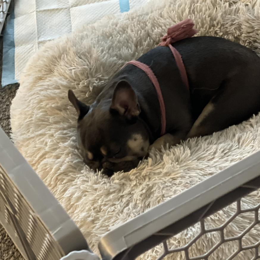 Infinity🩷🩷🩷's Post|Lemon8