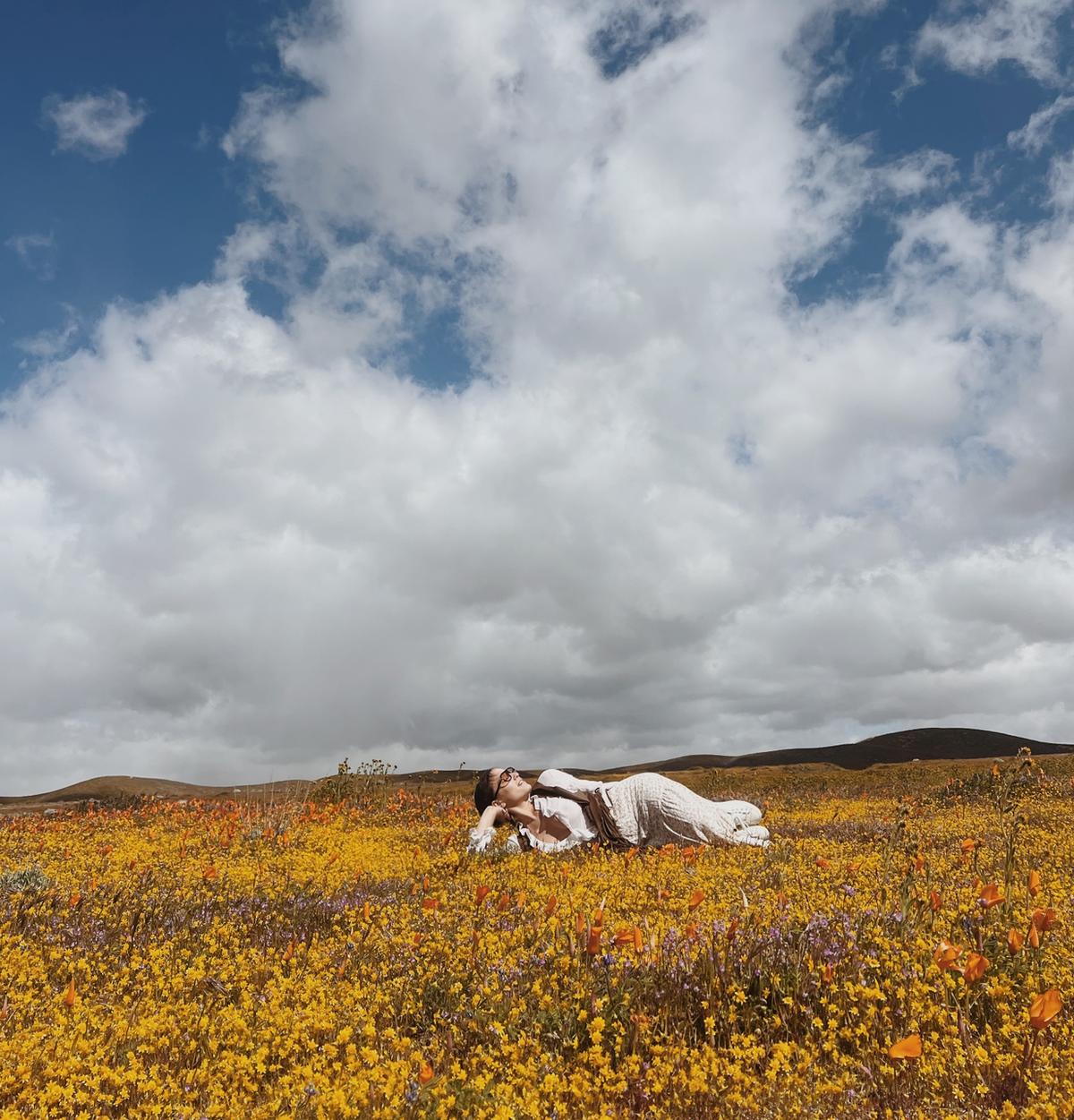 hunny kane's Post|Lemon8