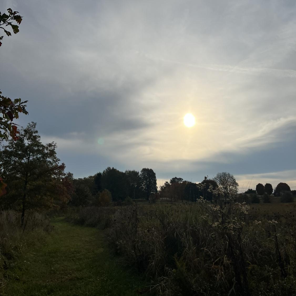 Lydia Hunter's Post|Lemon8