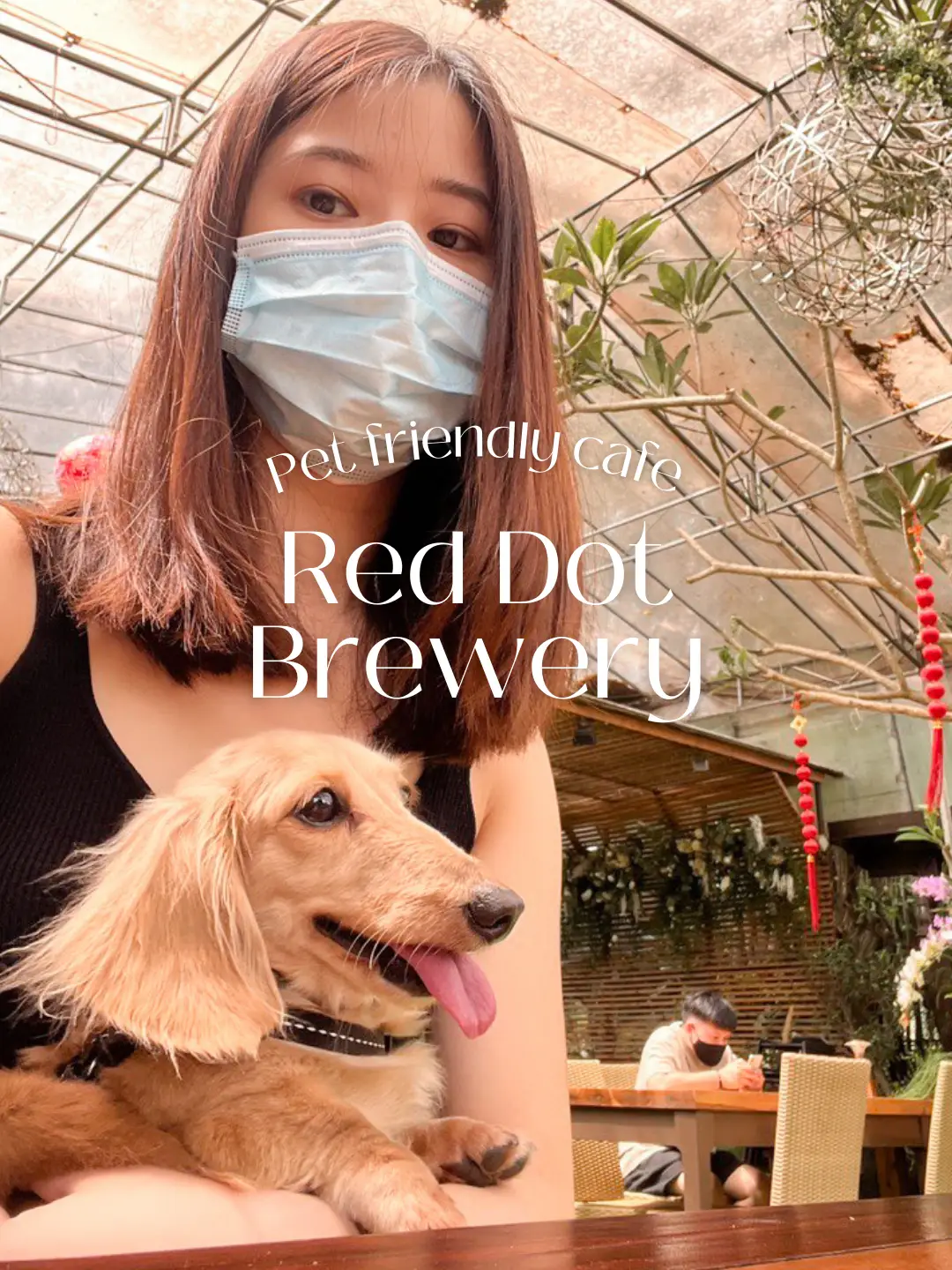 Maruko & Juliet's Post|Lemon8