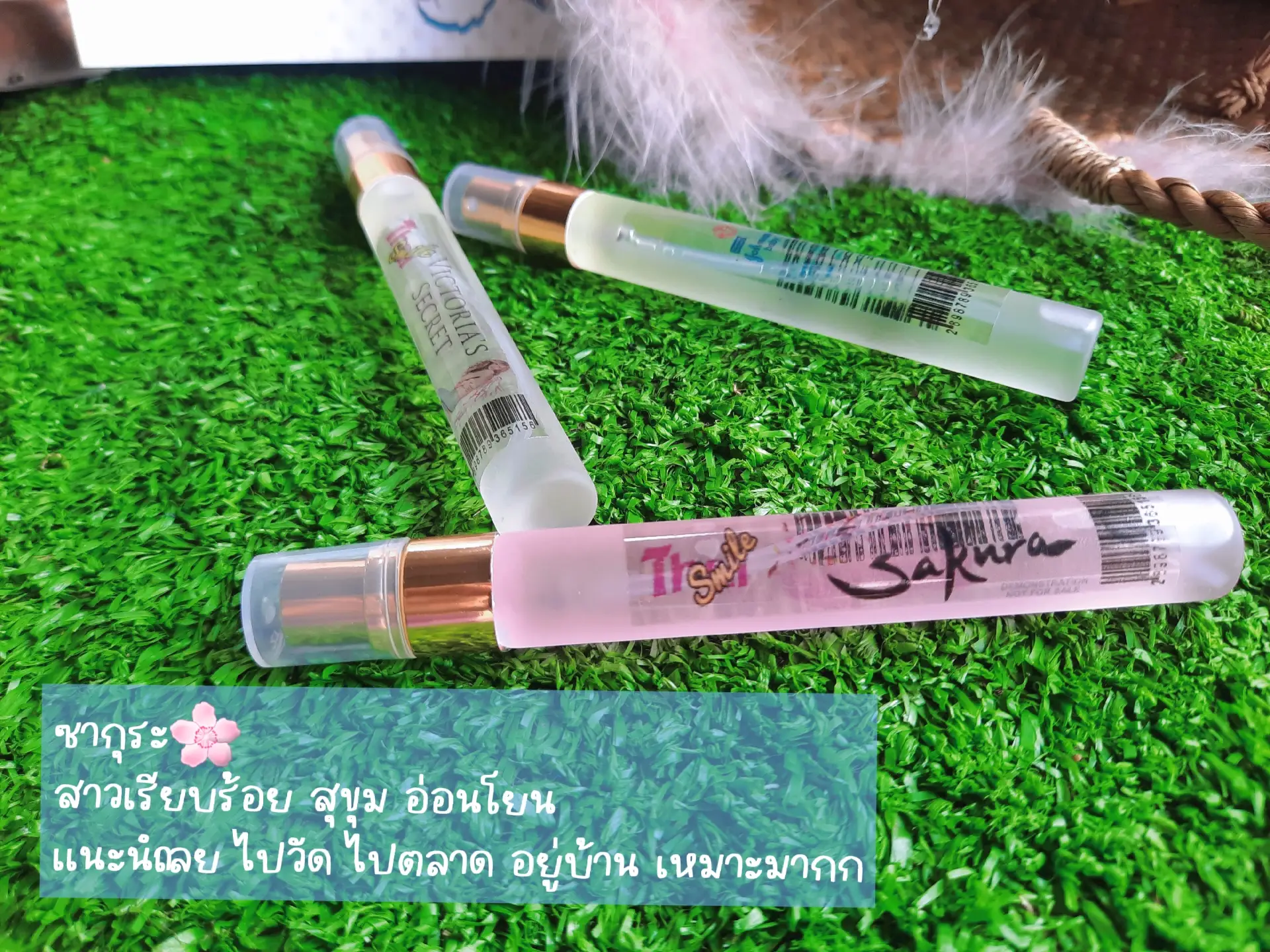 โพสต์ ของ Jongjit Pangrum|Lemon8