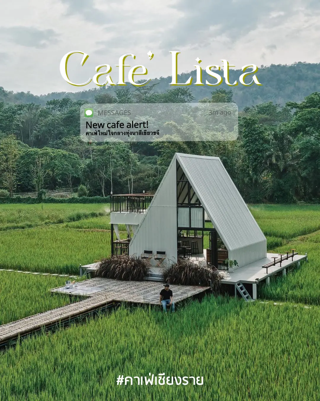 โพสต์ ของ 26.9n|Lemon8