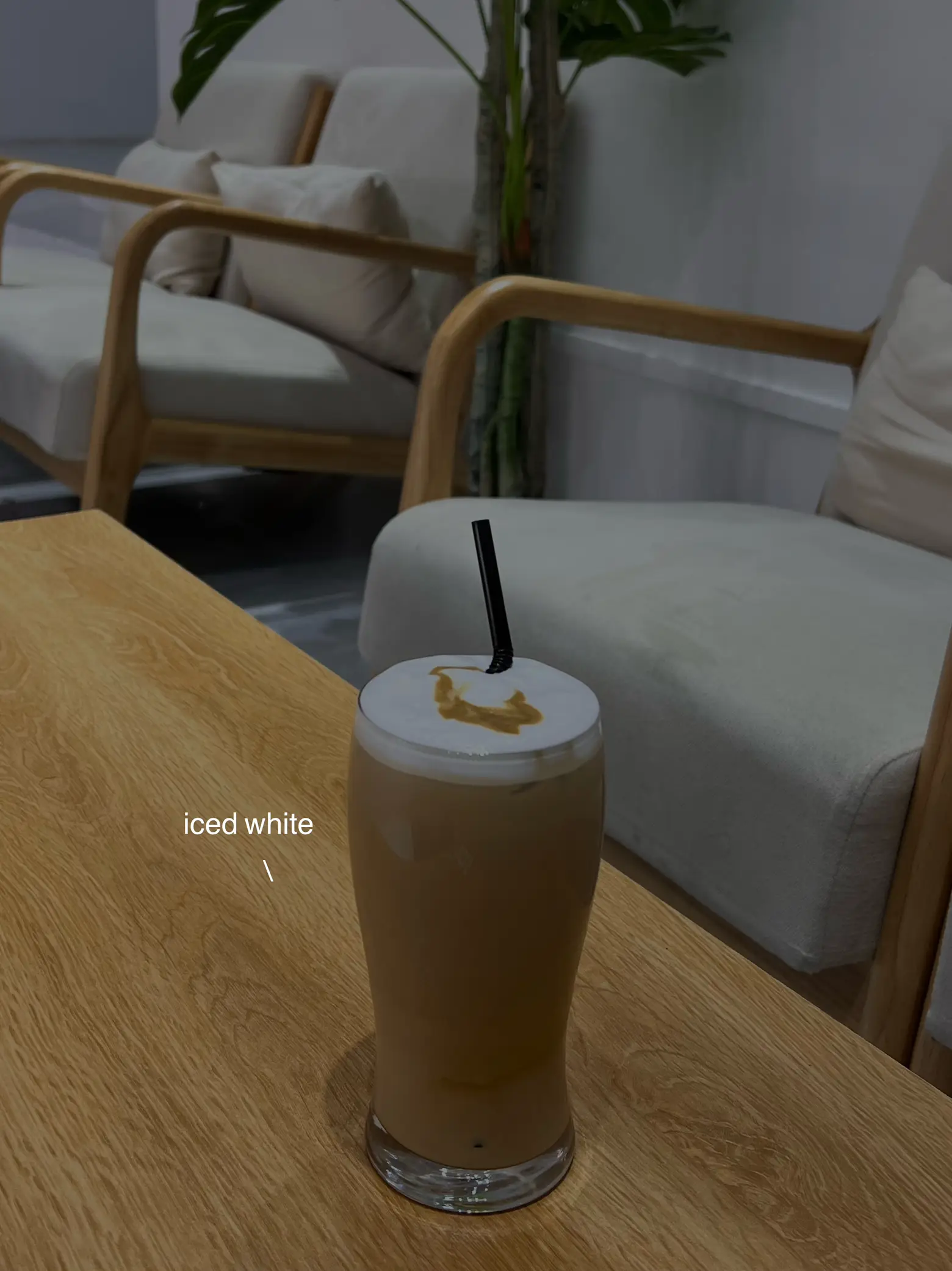 Pet friendly & study friendly cafe: Revelry | Gallery posted by Nicole ...