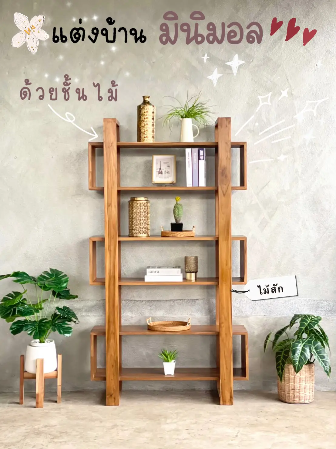 โพสต์ ของ NAPATCHA FUR|Lemon8