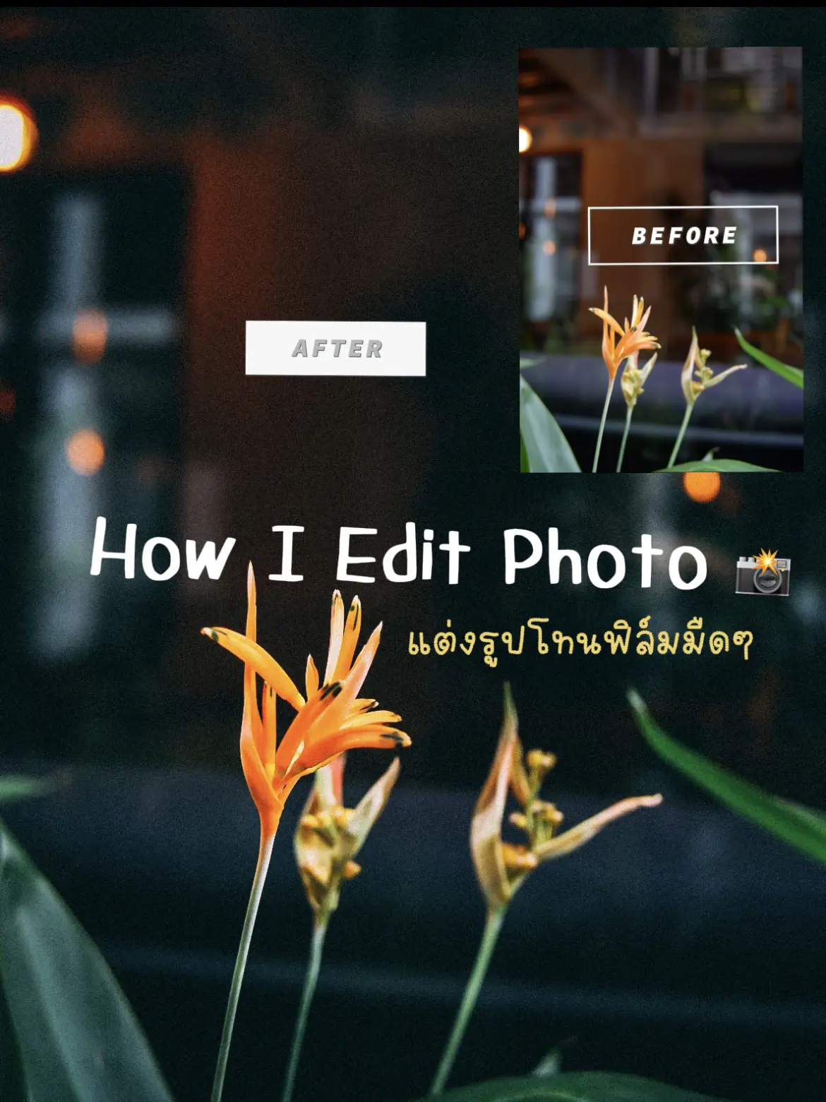 โพสต์ ของ Nookathity🍑|Lemon8