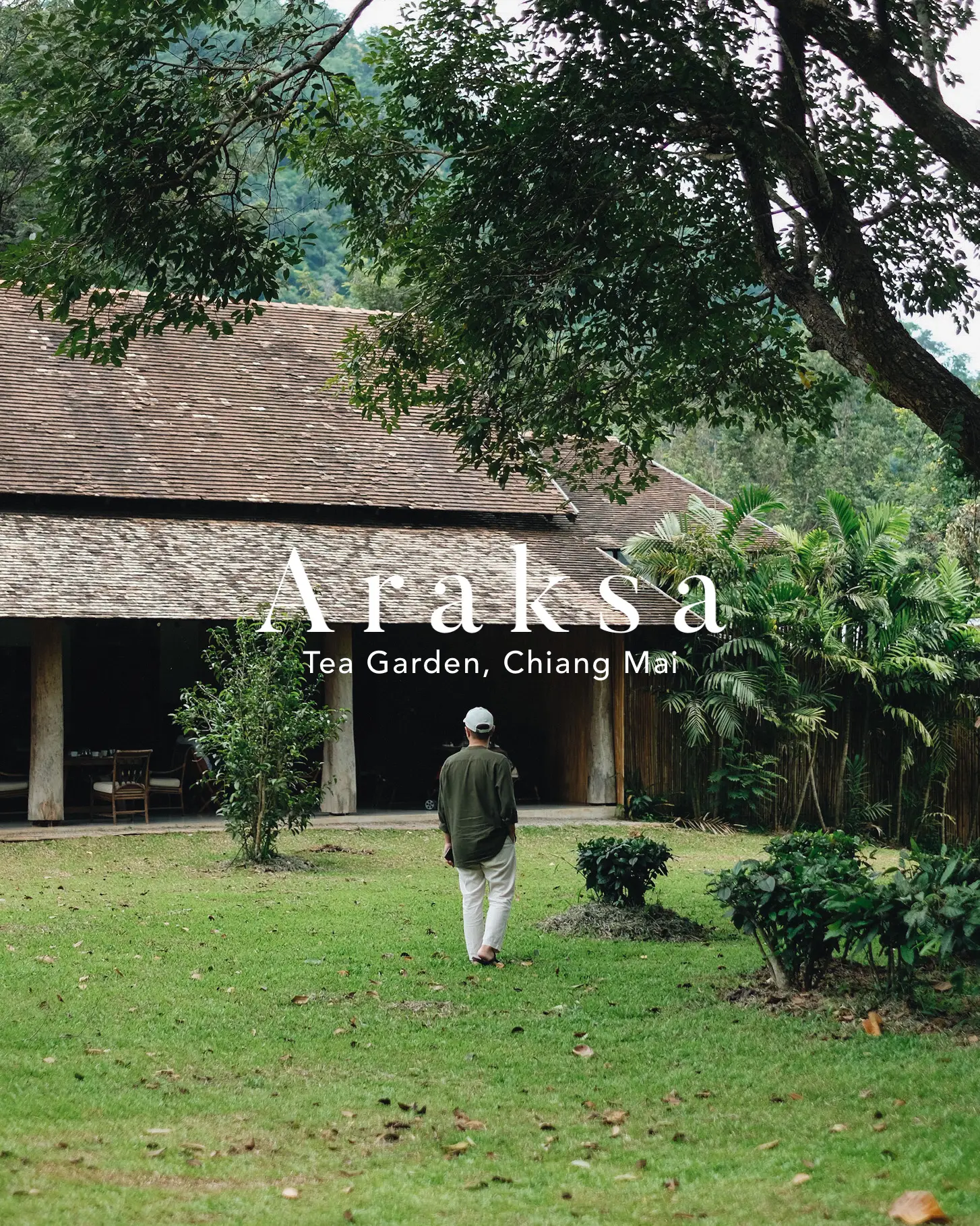 บรรยากาศดีมากคะ ไร่ชาที่ดอยอ่างขาง | แกลเลอรีที่โพสต์โดย Shinowri | Lemon8