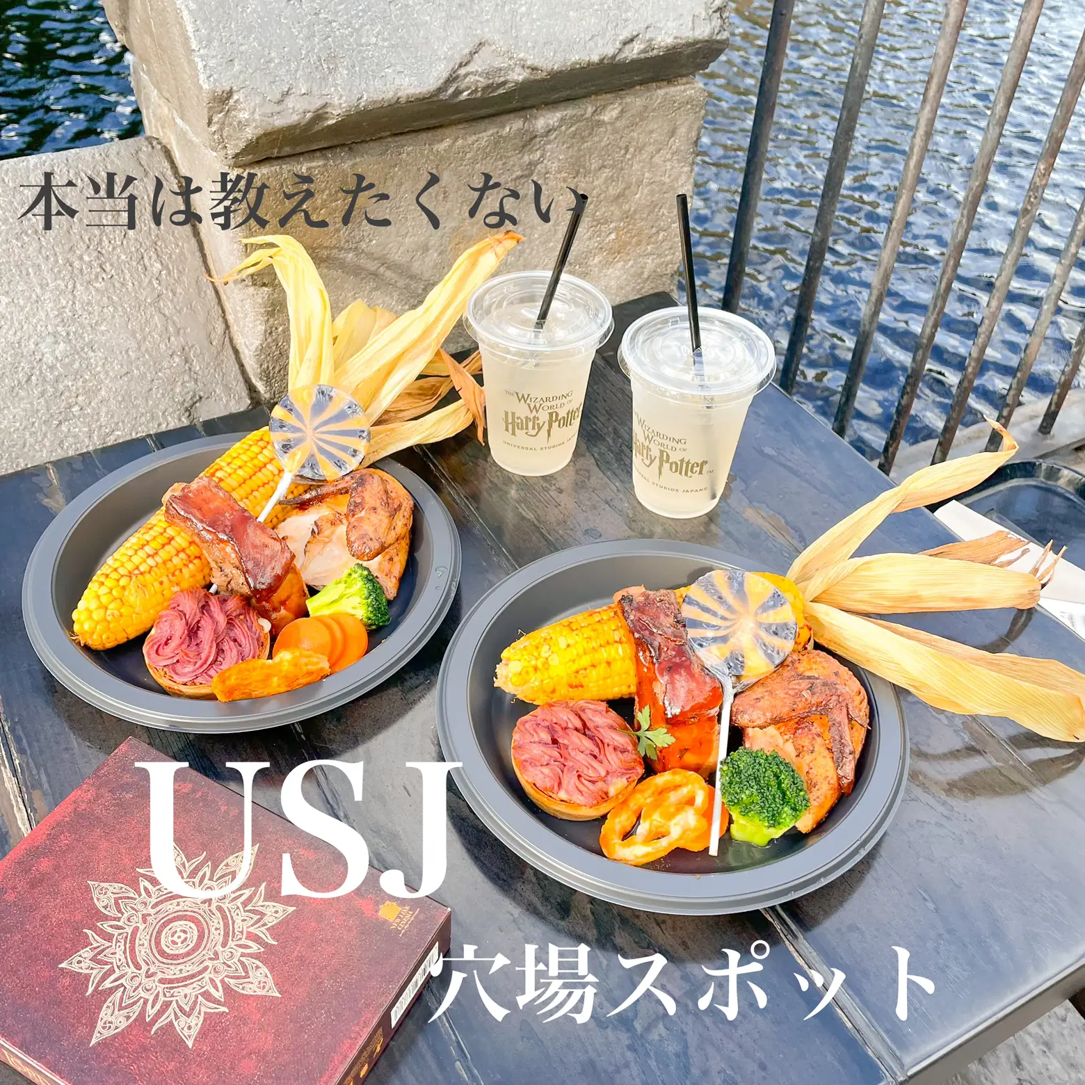 USJ | みぃーが投稿したフォトブック | Lemon8