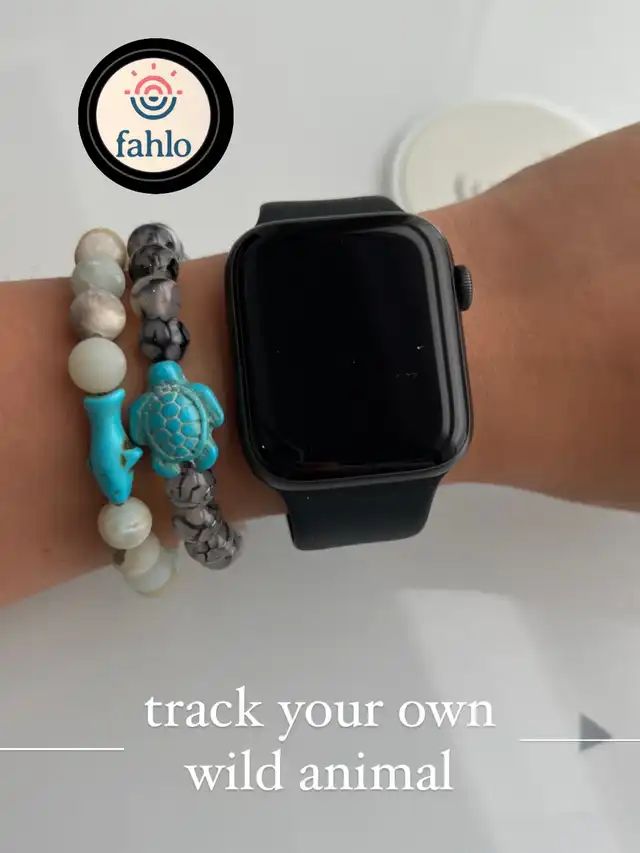 Fahlo Animal Dolphin Qr - Lemon8 Search