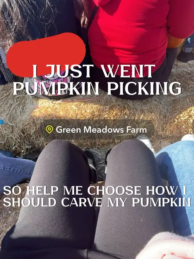 Pumpkin Carving Spider Web - Lemon8 Search