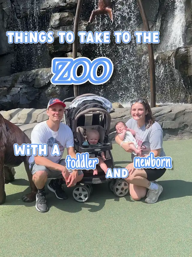 Zoo Checklist for Kids - Lemon8 Search