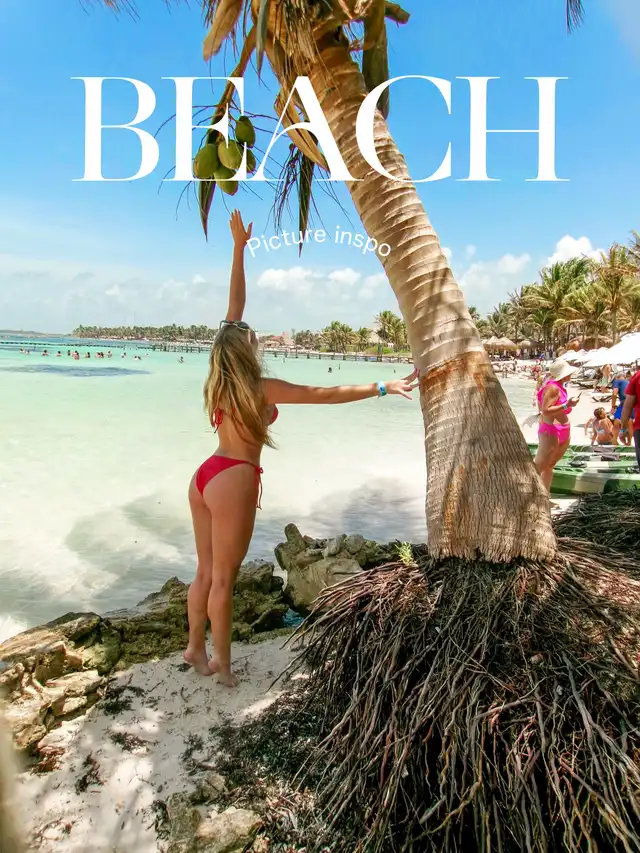 Pictures Next to Palm Trees - Lemon8 Search