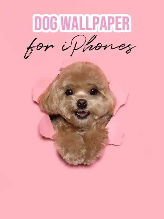 19 top Cute Wallpaper Dogs Fanart Buchan ideas in 2024