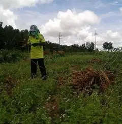 Supannee Saitab's Post|Lemon8