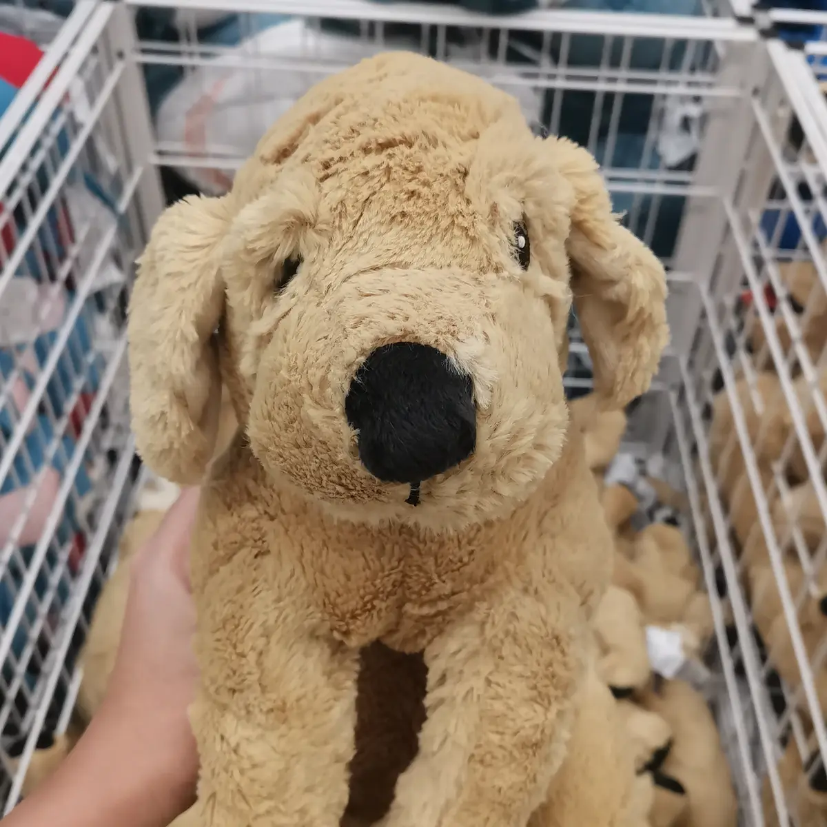 ปีหนึ่ง🤍さんの投稿|Lemon8