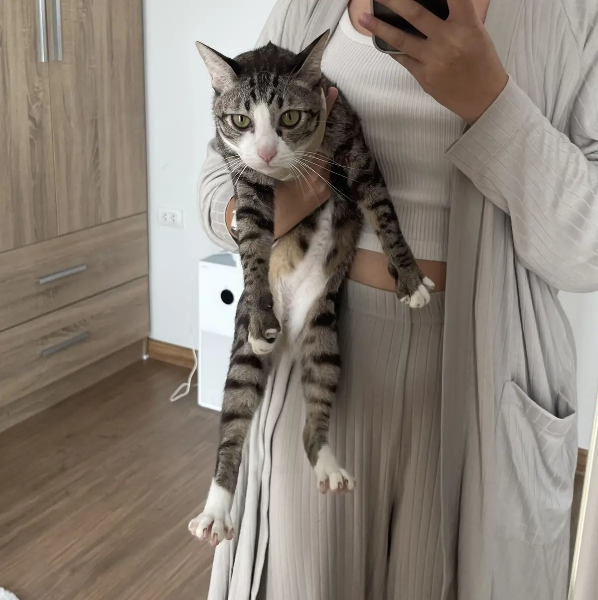 Maeban_mujiさんの投稿|Lemon8