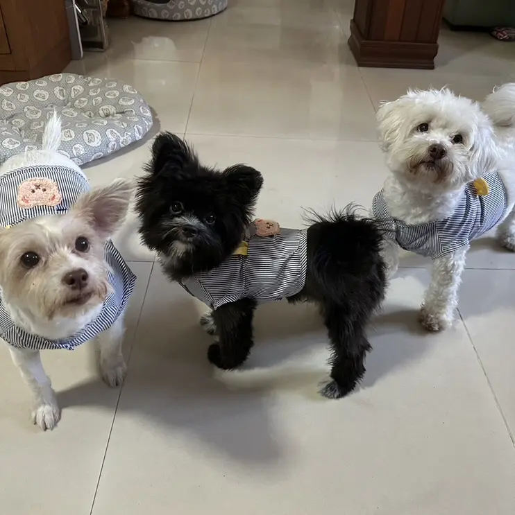 ~ Ying Bo ~'s Post|Lemon8