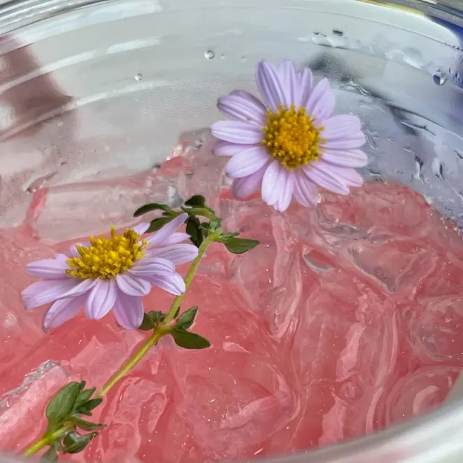 sweet sundown∿ 's Post|Lemon8