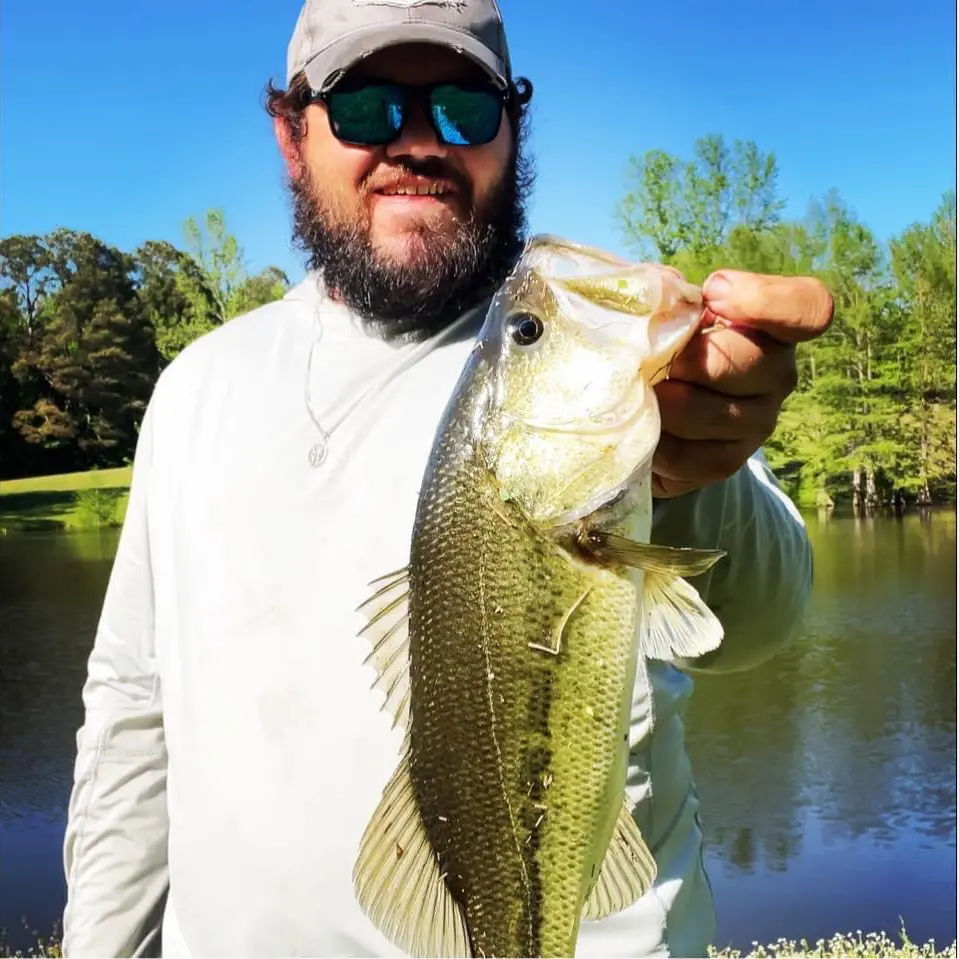 SF_Fishingさんの投稿|Lemon8