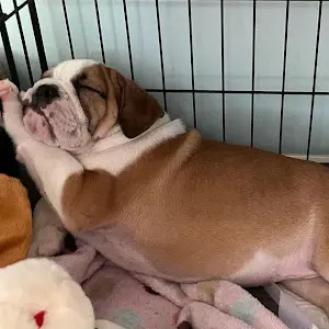 Kayla jessica さんの投稿|Lemon8