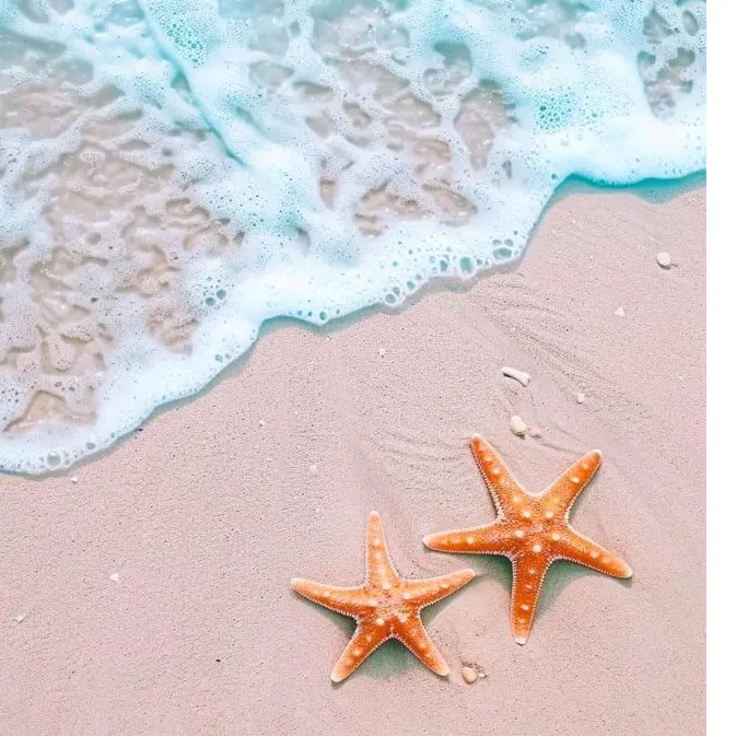 Lilly M's Post|Lemon8