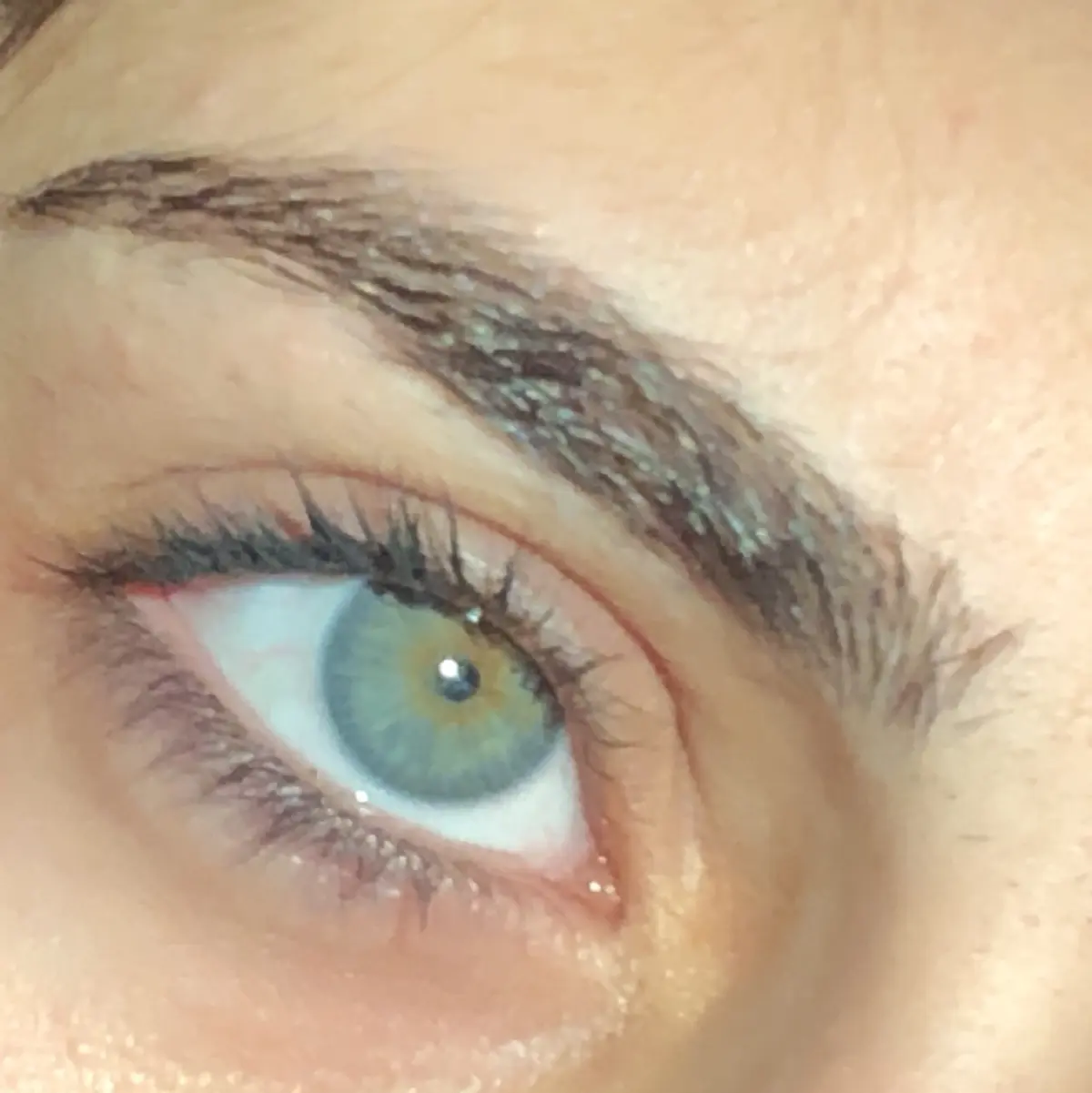 Sarah Saadi's Post|Lemon8